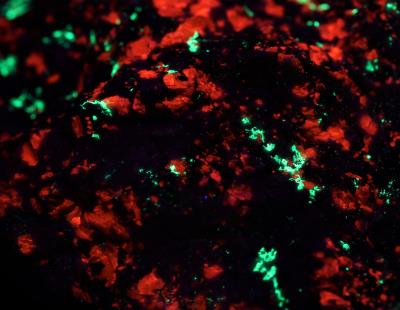 FOMS - Calcite - Franklin Mineral Information