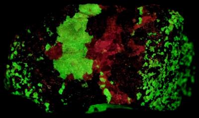 FOMS - Hodgkinsonite - Franklin Mineral Information