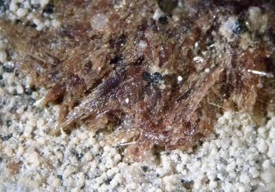 FOMS - Sarkinite - Franklin Mineral Information