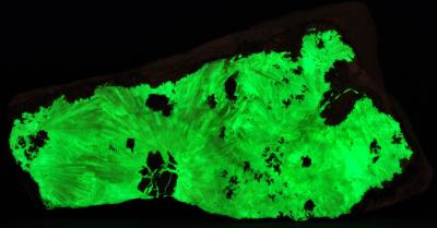 FOMS - Willemite - Franklin Mineral Information