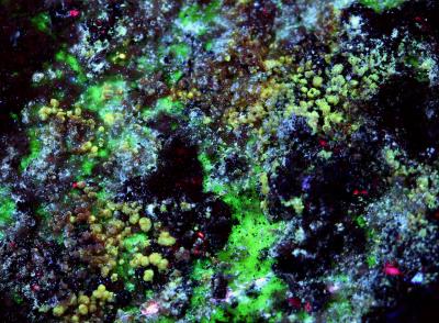 FOMS - Zincite - Franklin Mineral Information